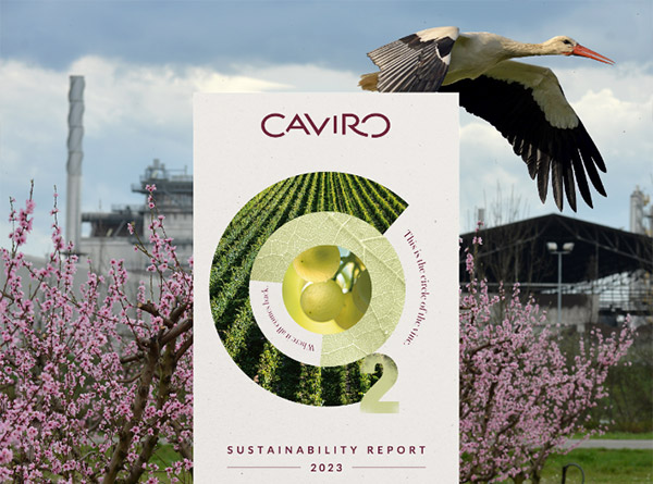 Caviro Group: the biggest vineyard in Italy