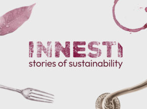 Caviro Group: the biggest vineyard in Italy