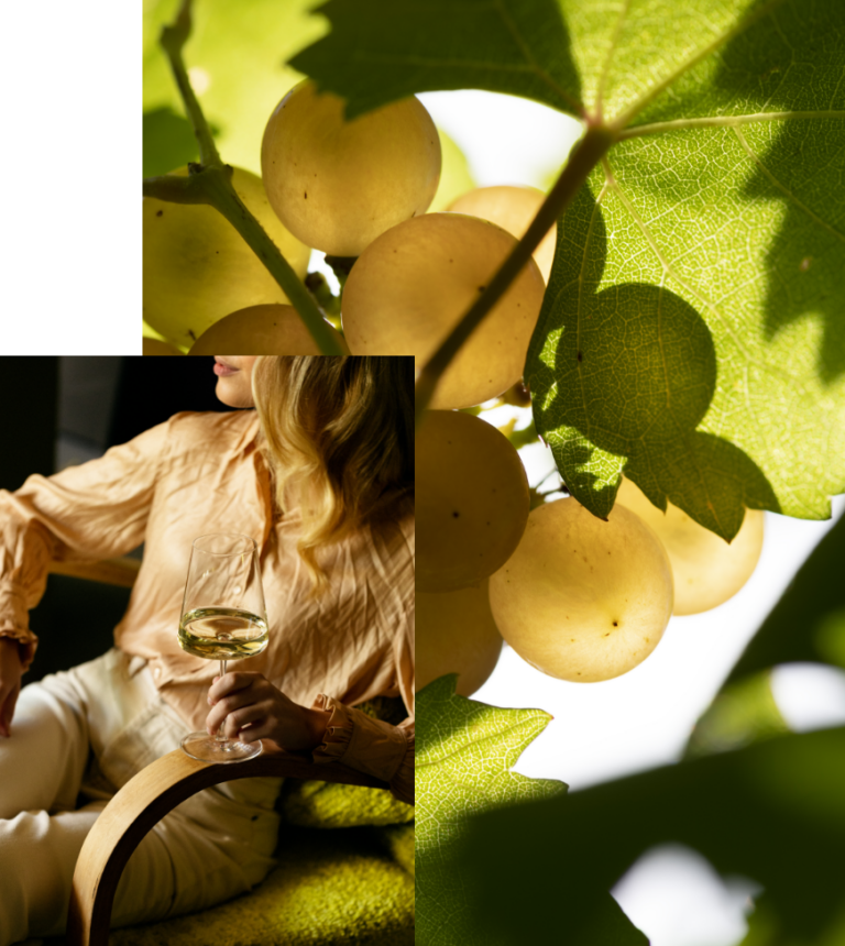 Italian wine production for large-scale retail channels and hospitality ...