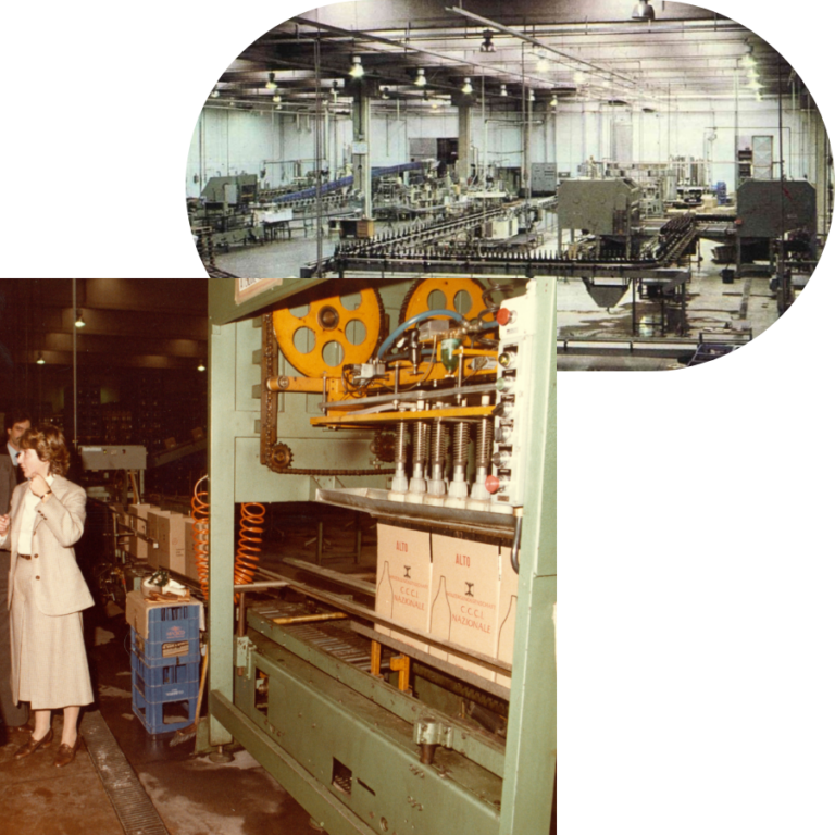 Caviro Group: vision, business model and history | Caviro