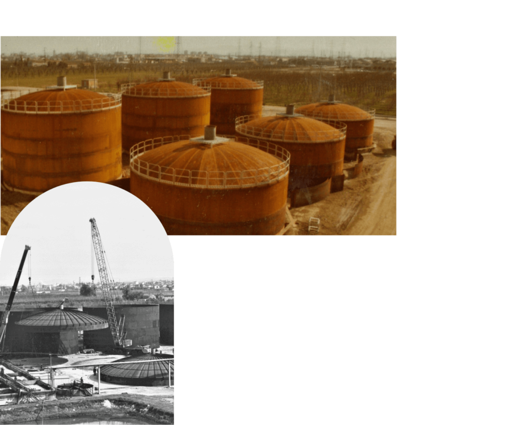 Caviro Group: vision, business model and history | Caviro