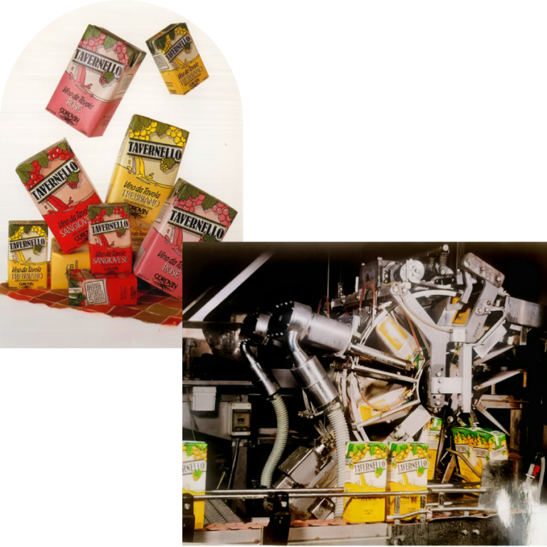 Caviro Group: vision, business model and history | Caviro