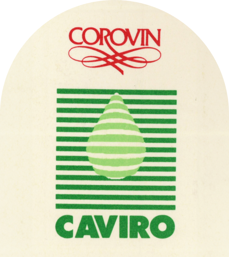 Caviro Group: vision, business model and history | Caviro