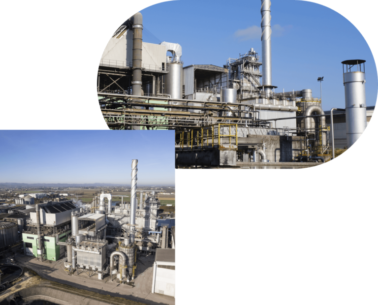 Caviro Group: vision, business model and history | Caviro