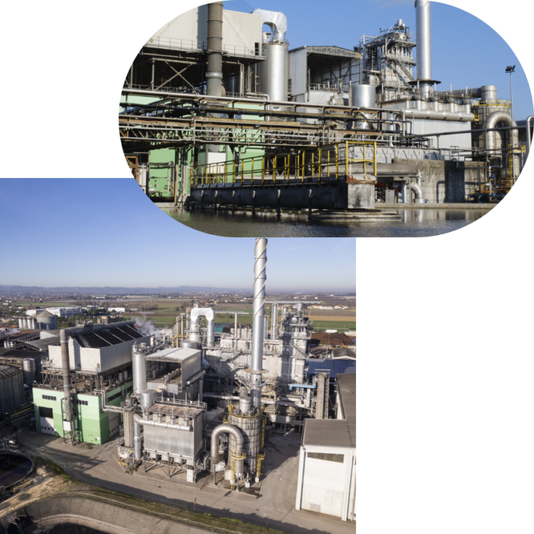 Caviro Group: vision, business model and history | Caviro