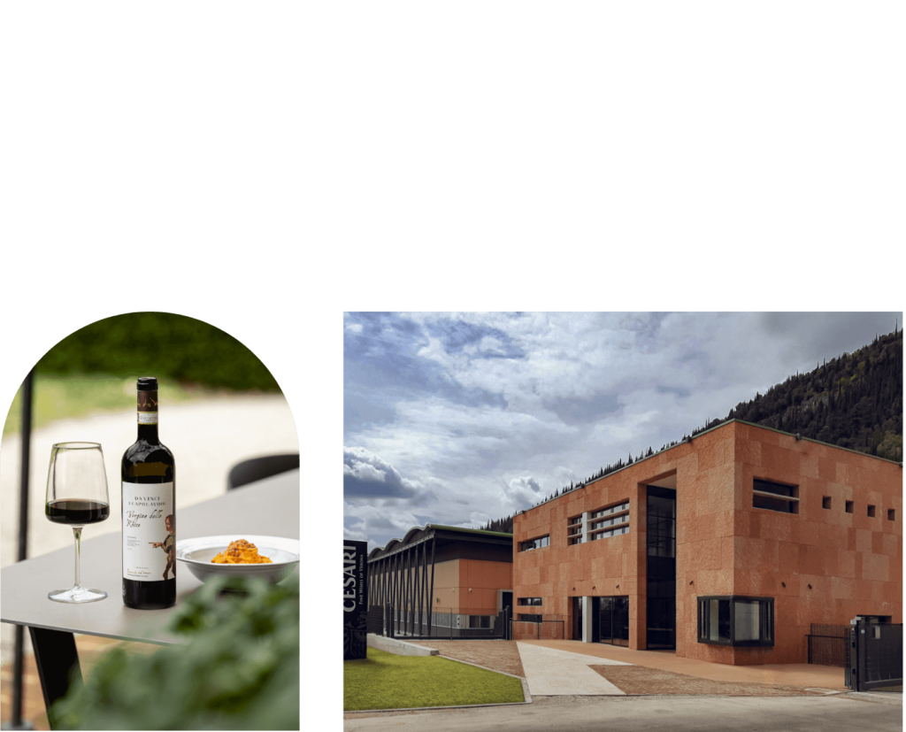 Caviro Group: vision, business model and history | Caviro