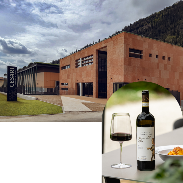 Caviro Group: vision, business model and history | Caviro