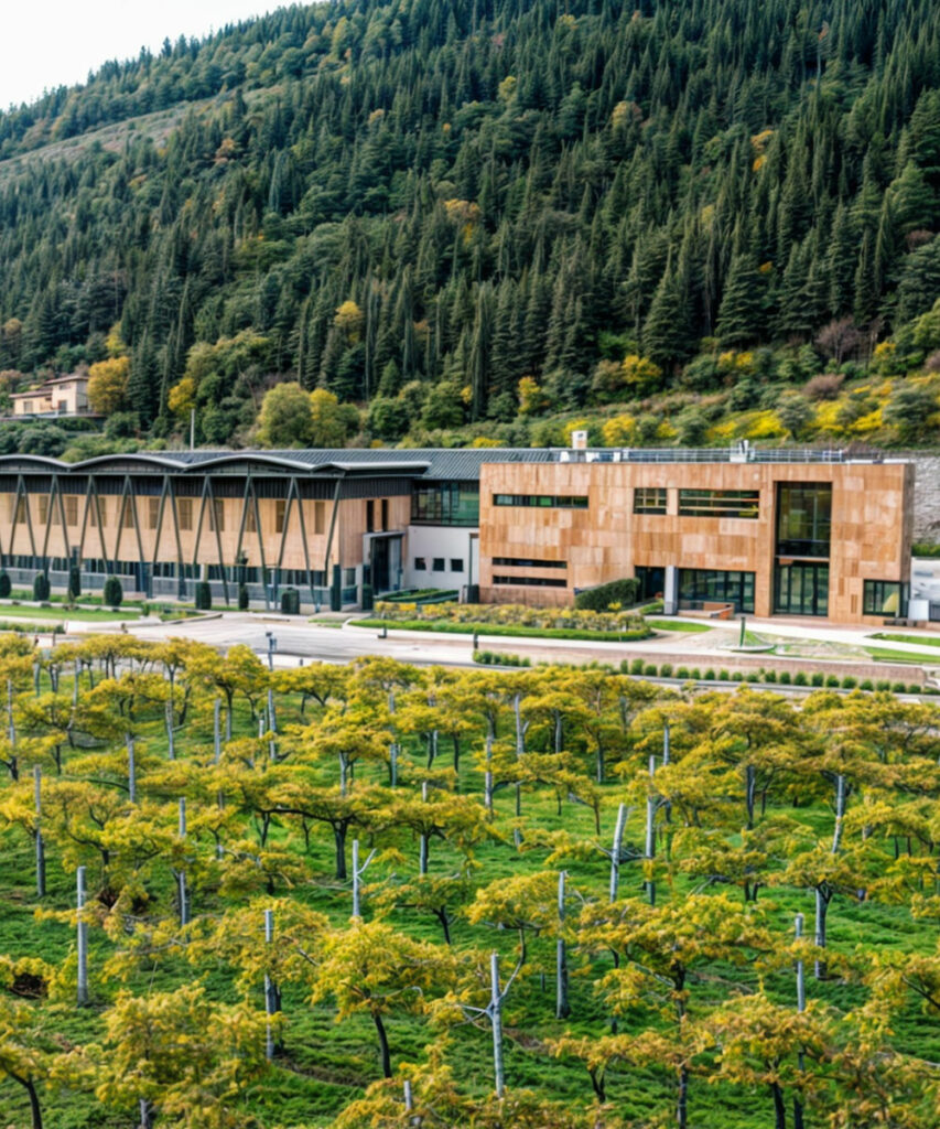 Italian wine production for large-scale retail channels and hospitality ...