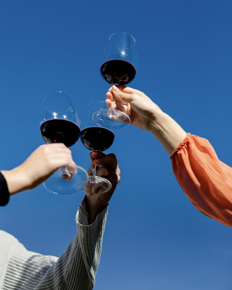 Caviro Group: the biggest vineyard in Italy